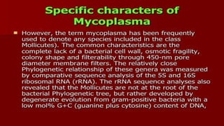 Mycoplasma | PPT
