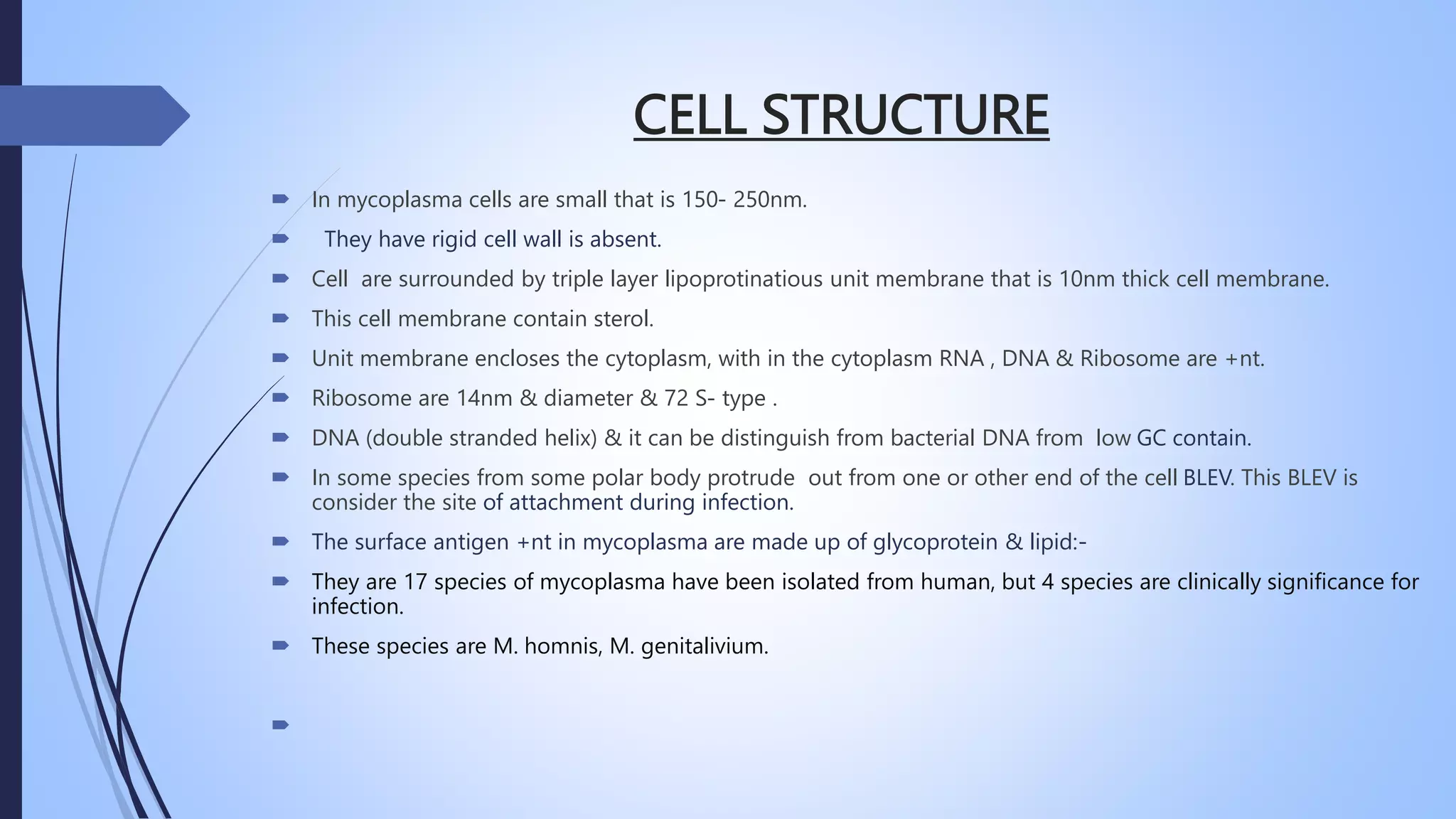 MYCOPLASMA.pptx