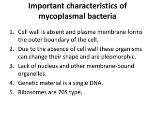 MYCOPLASMA PNEUMONIA INFECTION IN HUMANS | PPTX