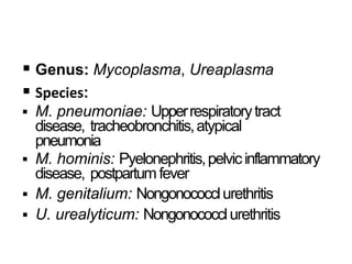 MYCOPLASMA PNEUMONIA INFECTION IN HUMANS | PPTX