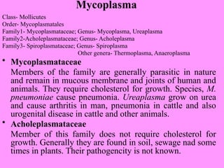 Mycoplasma mycoplasma , Actinomycete.pptx | Biological Sciences | Science