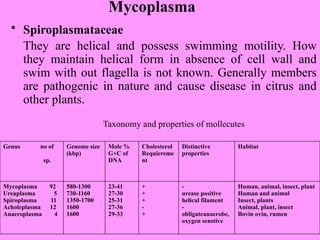 Mycoplasma mycoplasma , Actinomycete.pptx | Biological Sciences | Science
