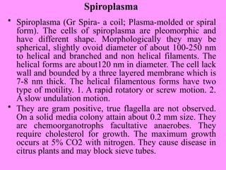 Mycoplasma mycoplasma , Actinomycete.pptx | Biological Sciences | Science