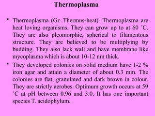 Mycoplasma mycoplasma , Actinomycete.pptx | Biological Sciences | Science