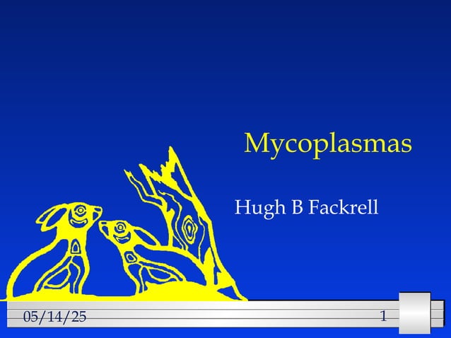 Mycoplasma lecture 5 ( Hugh B Fackrell) .ppt