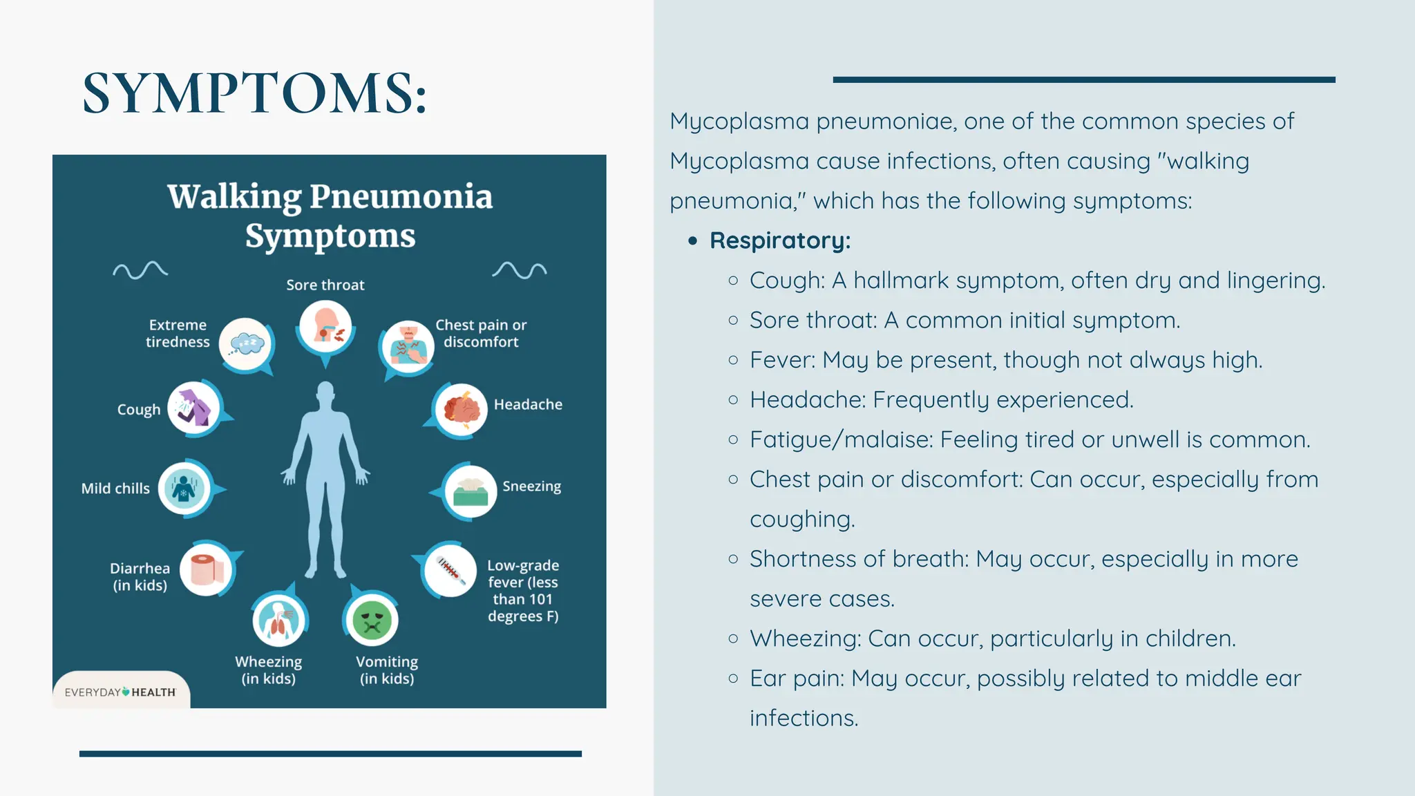 Mycoplasma-Morphology, Classification, Characteristics, Pathogenesis ...