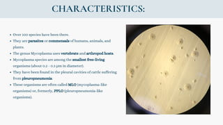 Mycoplasma-Morphology, Classification, Characteristics, Pathogenesis ...