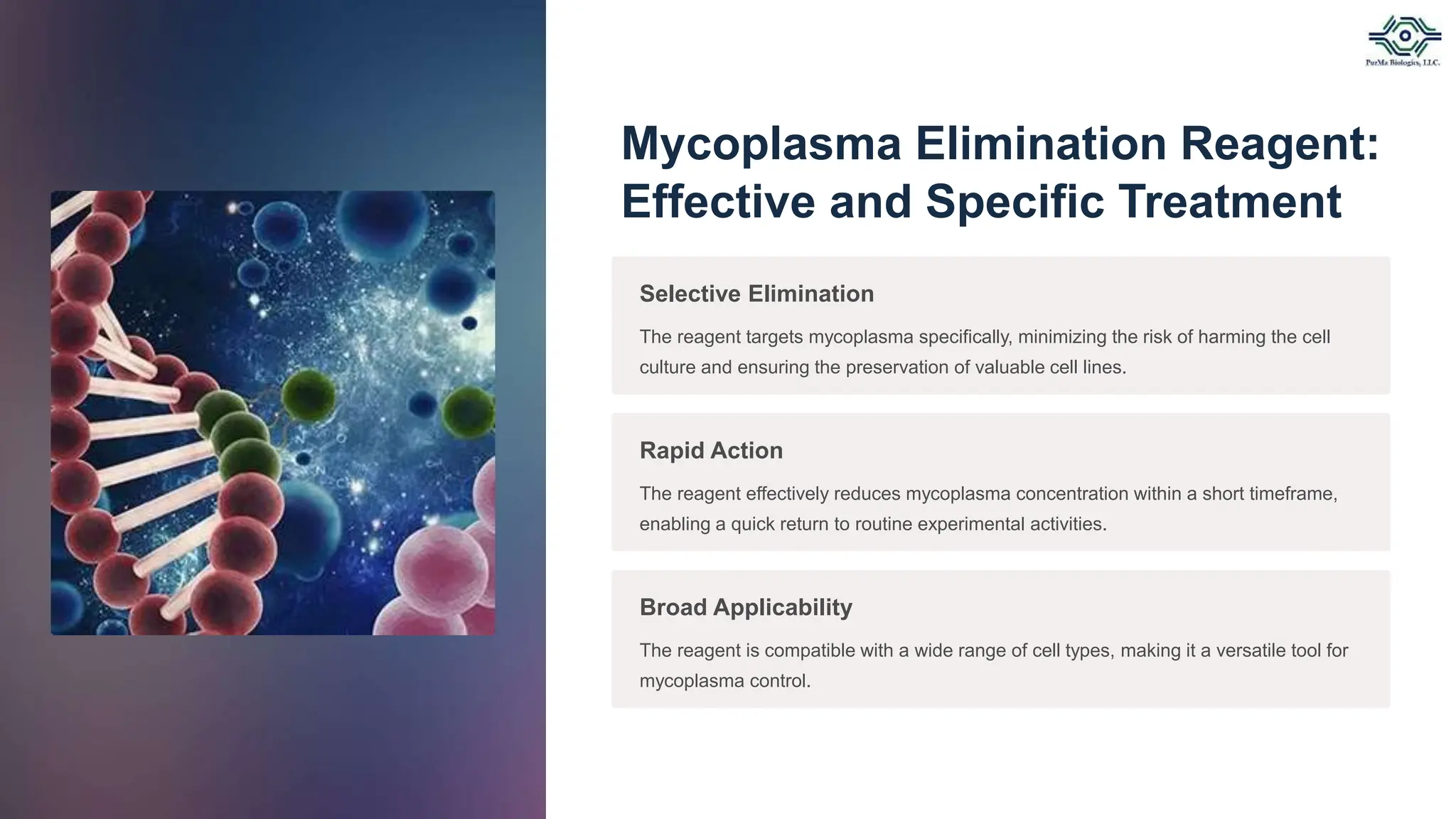 Complete Mycoplasma Detection And Elimination Methods | PPTX