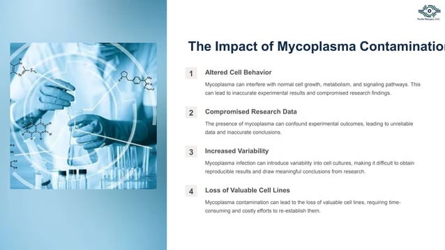 Complete Mycoplasma Detection And Elimination Methods | PPTX