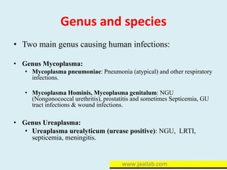 Mycoplasma dr kamlesh patel | PPTX