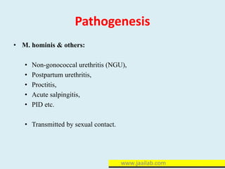 Mycoplasma dr kamlesh patel | PPTX