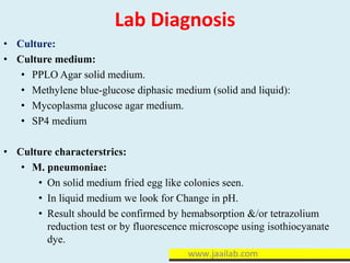 Mycoplasma dr kamlesh patel | PPTX