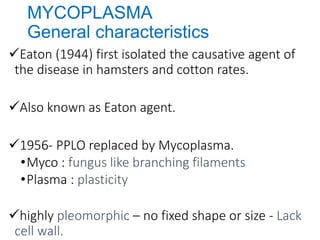 Cours de bactériologie sur les Mycoplasme en anglais 30.pdf