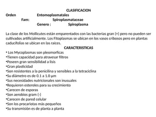 Mycoplasma 5.pptx fitopatolofia general de bacterias | PPTX
