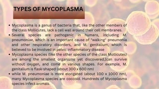 Mycoplasma .pdf
