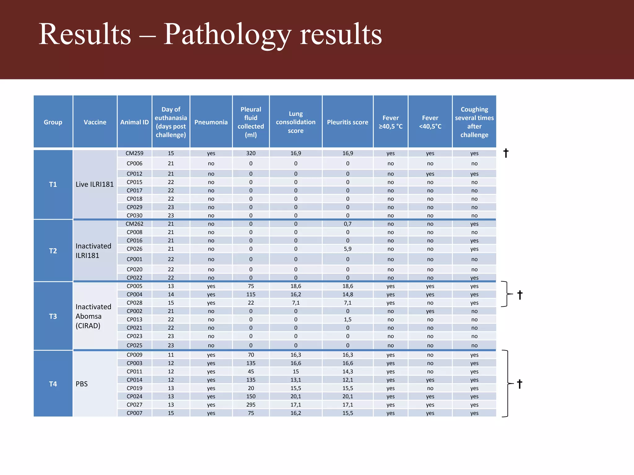 Vaccinating goats with live wildtype Mccp strain ILRI181 induces ...