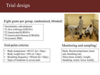 Vaccinating goats with live wildtype Mccp strain ILRI181 induces ...