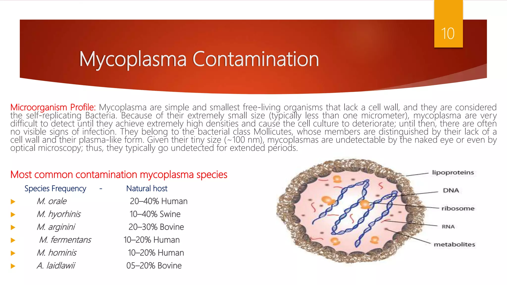 Mycoplasma contamination of cell cultures | PPTX