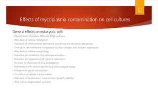 Mycoplasma contamination of cell cultures | PPTX