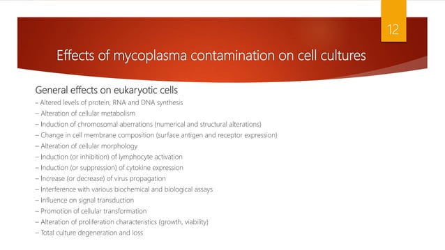 Mycoplasma contamination of cell cultures | PPT