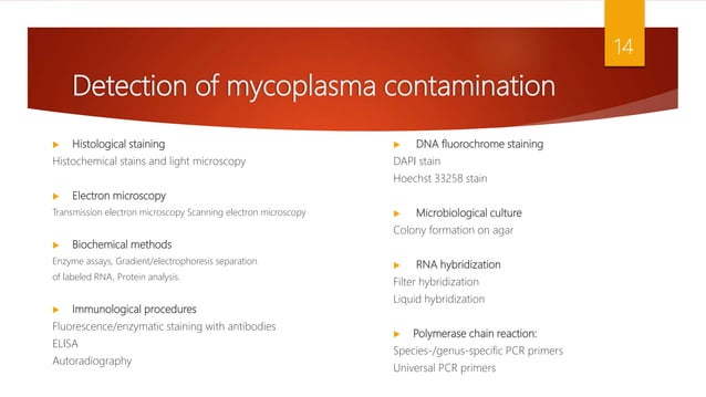 Mycoplasma contamination of cell cultures | PPT