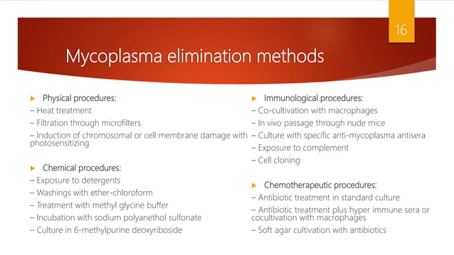 Mycoplasma contamination of cell cultures | PPT