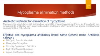 Mycoplasma contamination of cell cultures | PPTX