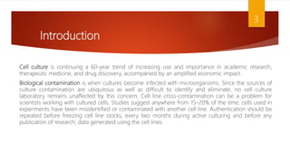Mycoplasma contamination of cell cultures | PPTX