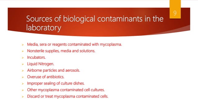 Mycoplasma contamination of cell cultures | PPT