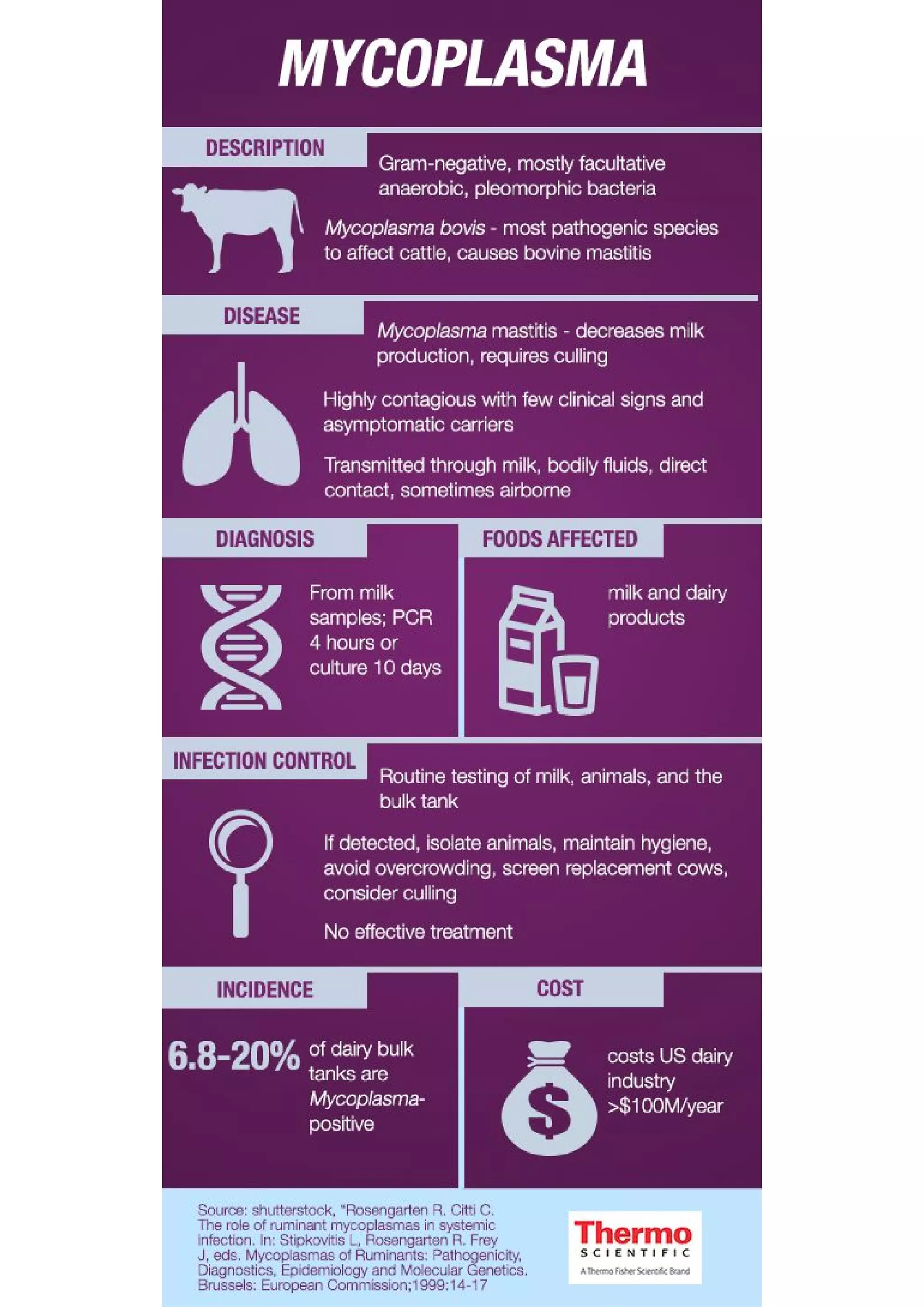 Mycoplasma Infographic | PDF