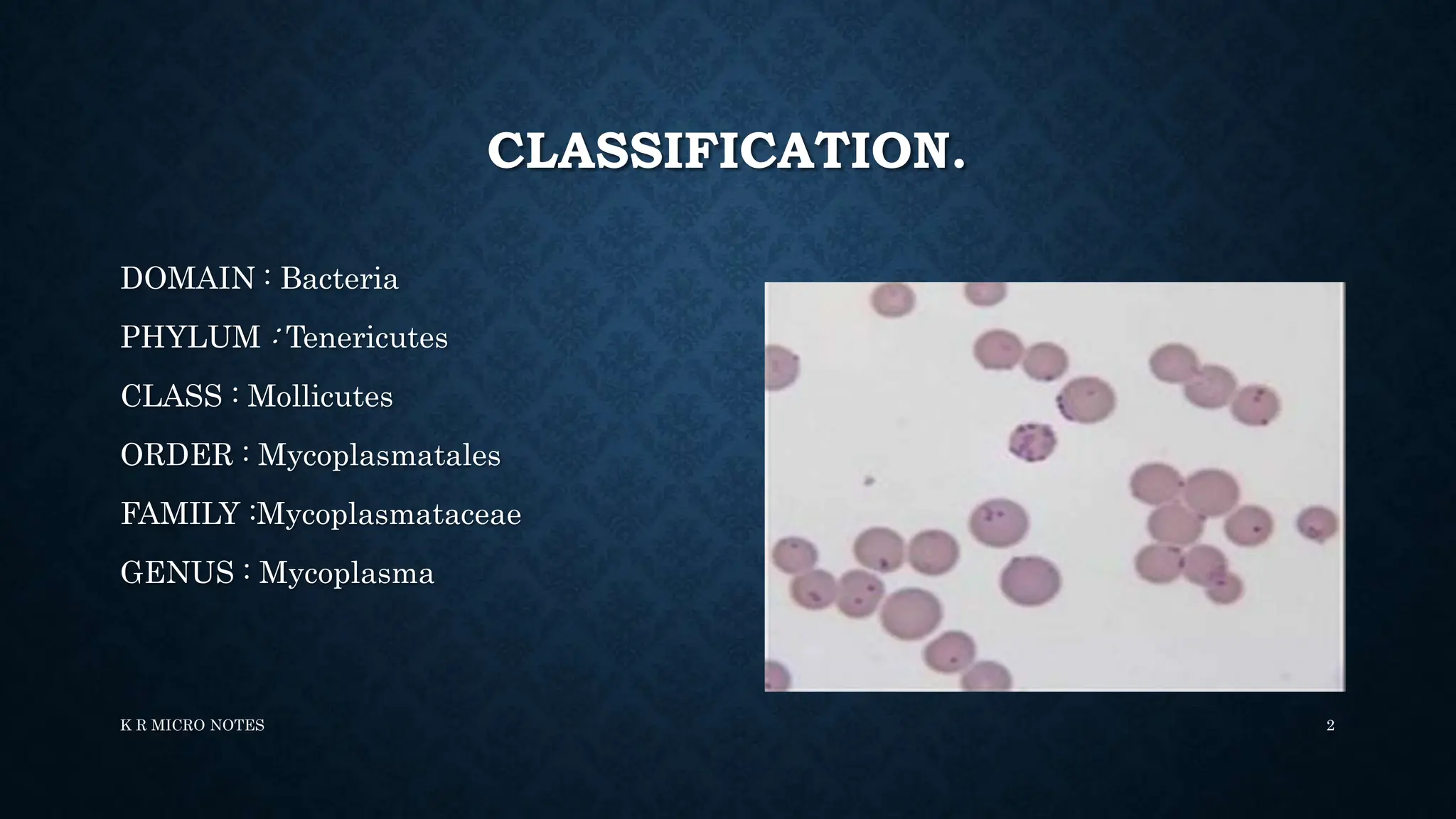 Mycoplasma Mycoplasma pneumoniae K R.pptx