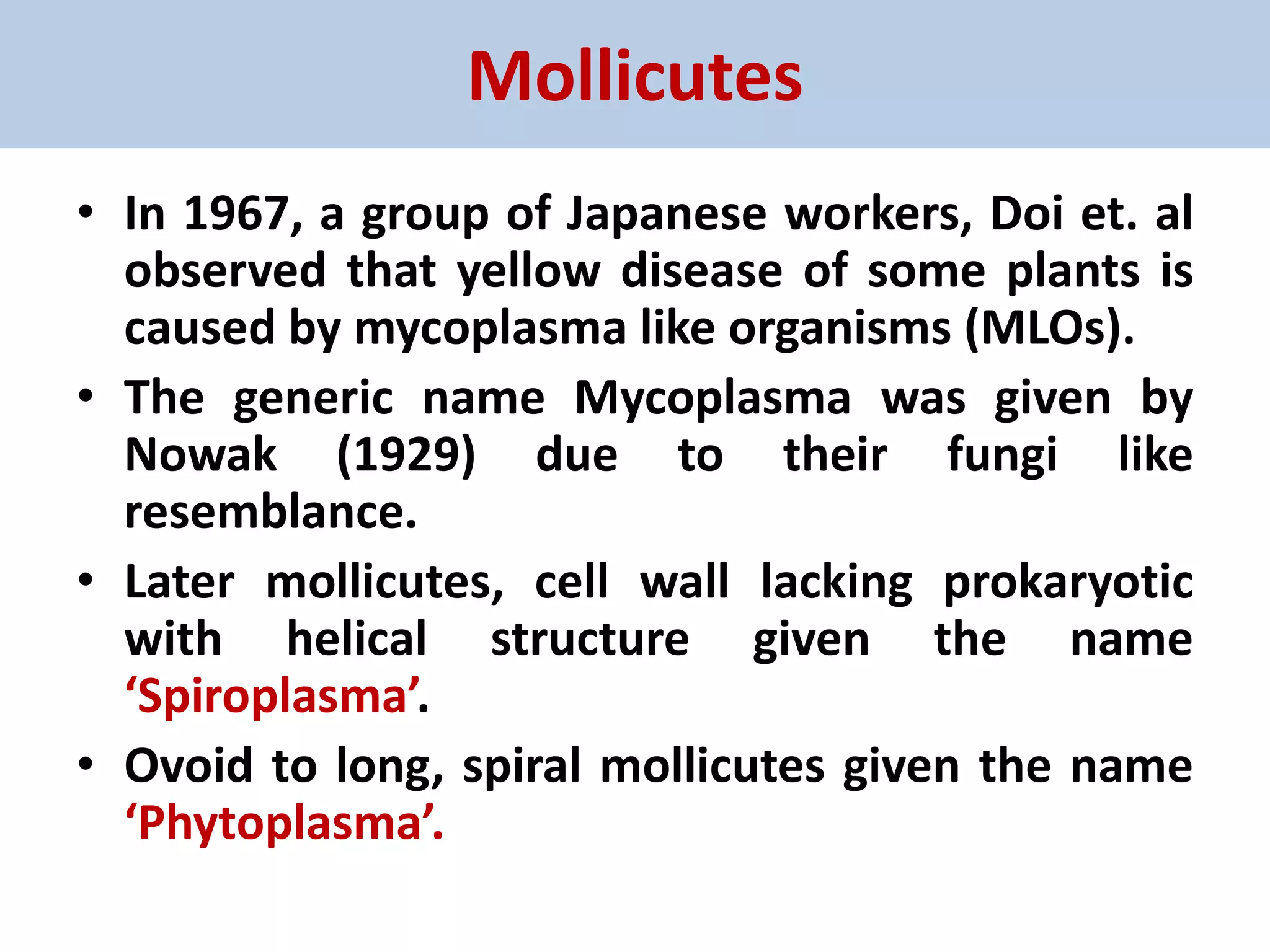 Mycoplasma like organisms | PPTX