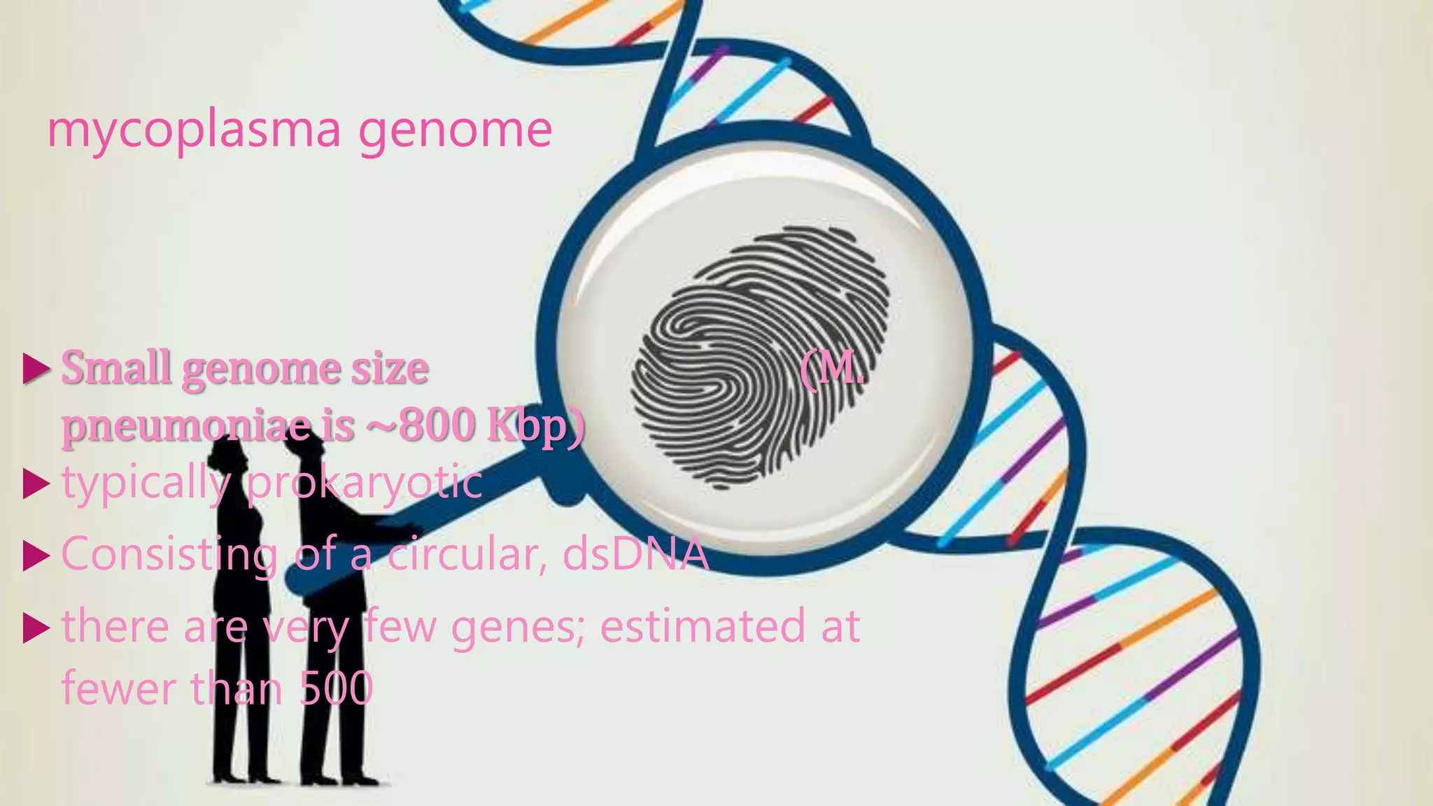 Mycoplasma spp | PPTX