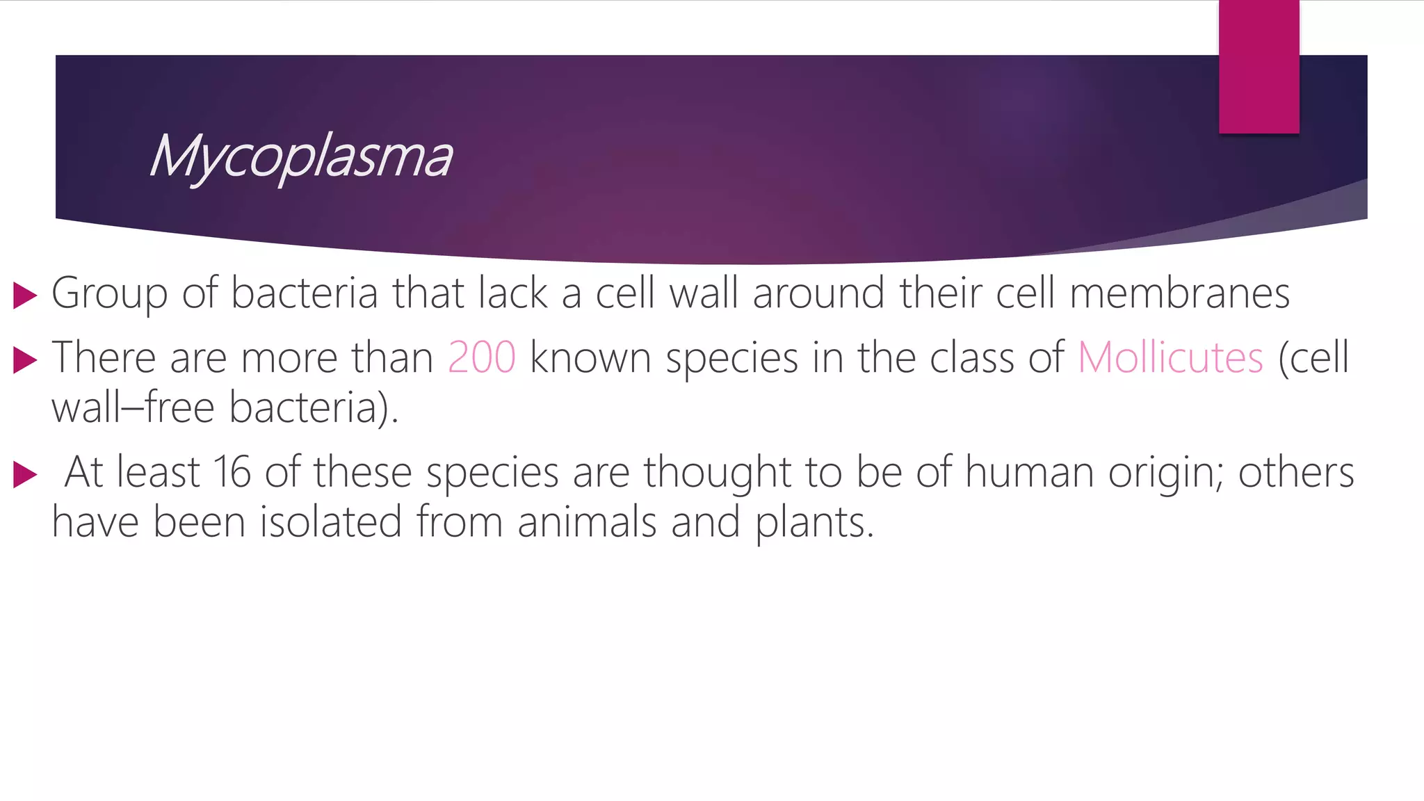 Mycoplasma spp | PPTX