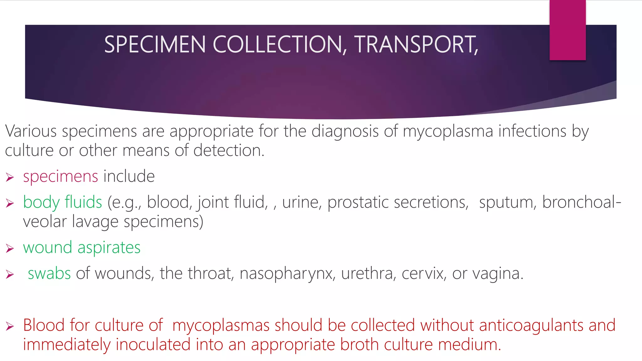 Mycoplasma spp | PPTX
