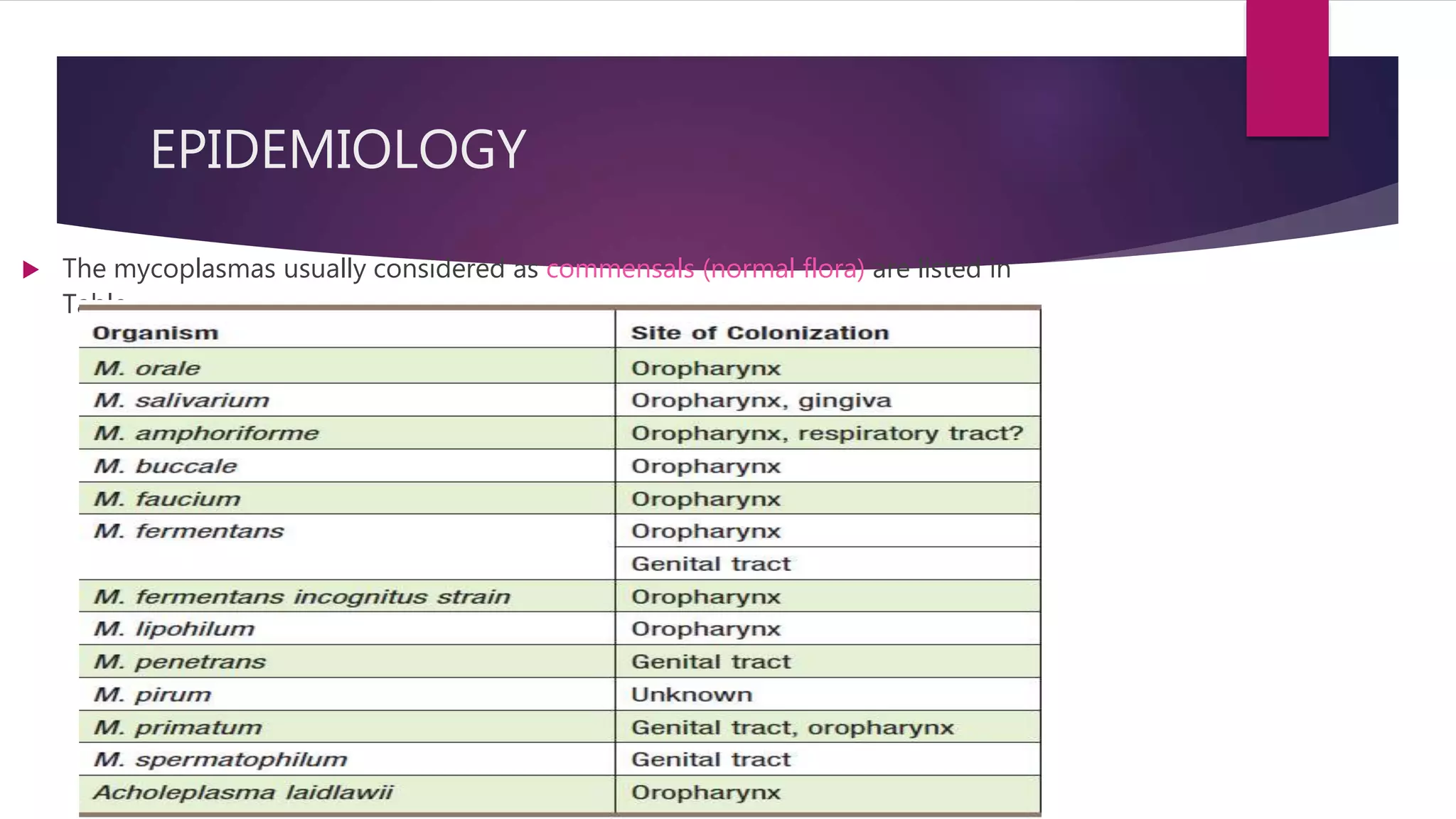 Mycoplasma spp | PPTX