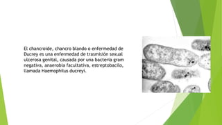 Mycoplasma pneumoniae and Haemophylus ducreyi | PPTX
