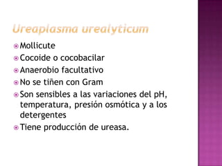 Mycoplasma y ureaplasma | PPTX