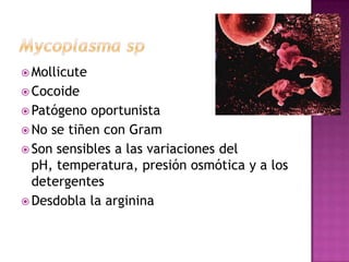Mycoplasma y ureaplasma | PPTX