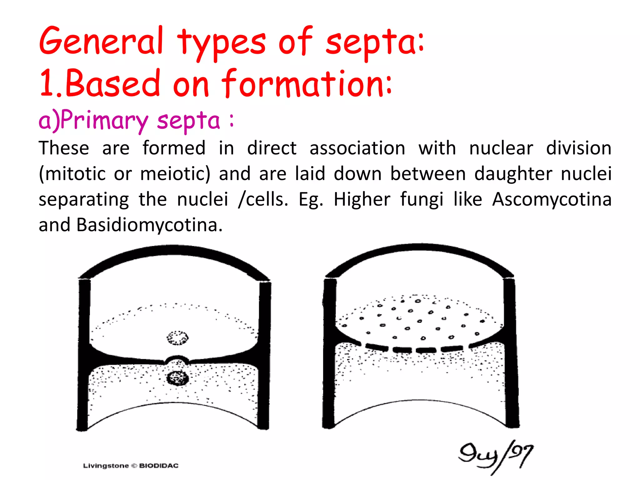 basic concepts of mycology | PPTX