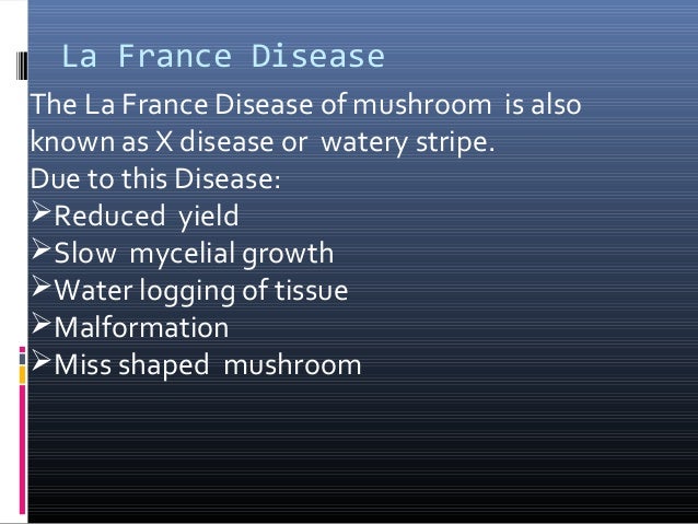mycoviruses and pathogensis