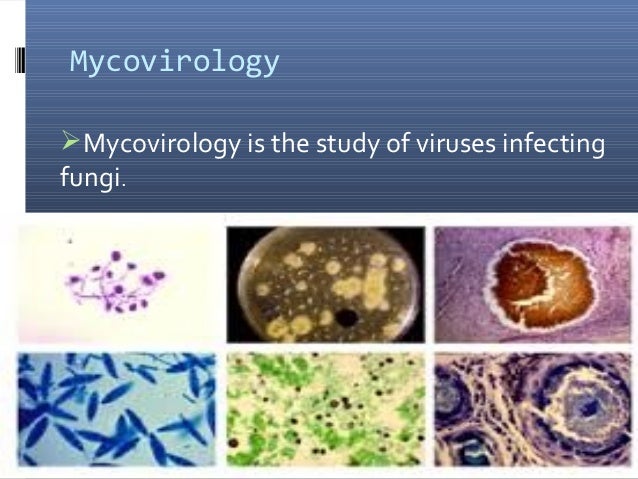 mycoviruses and pathogensis