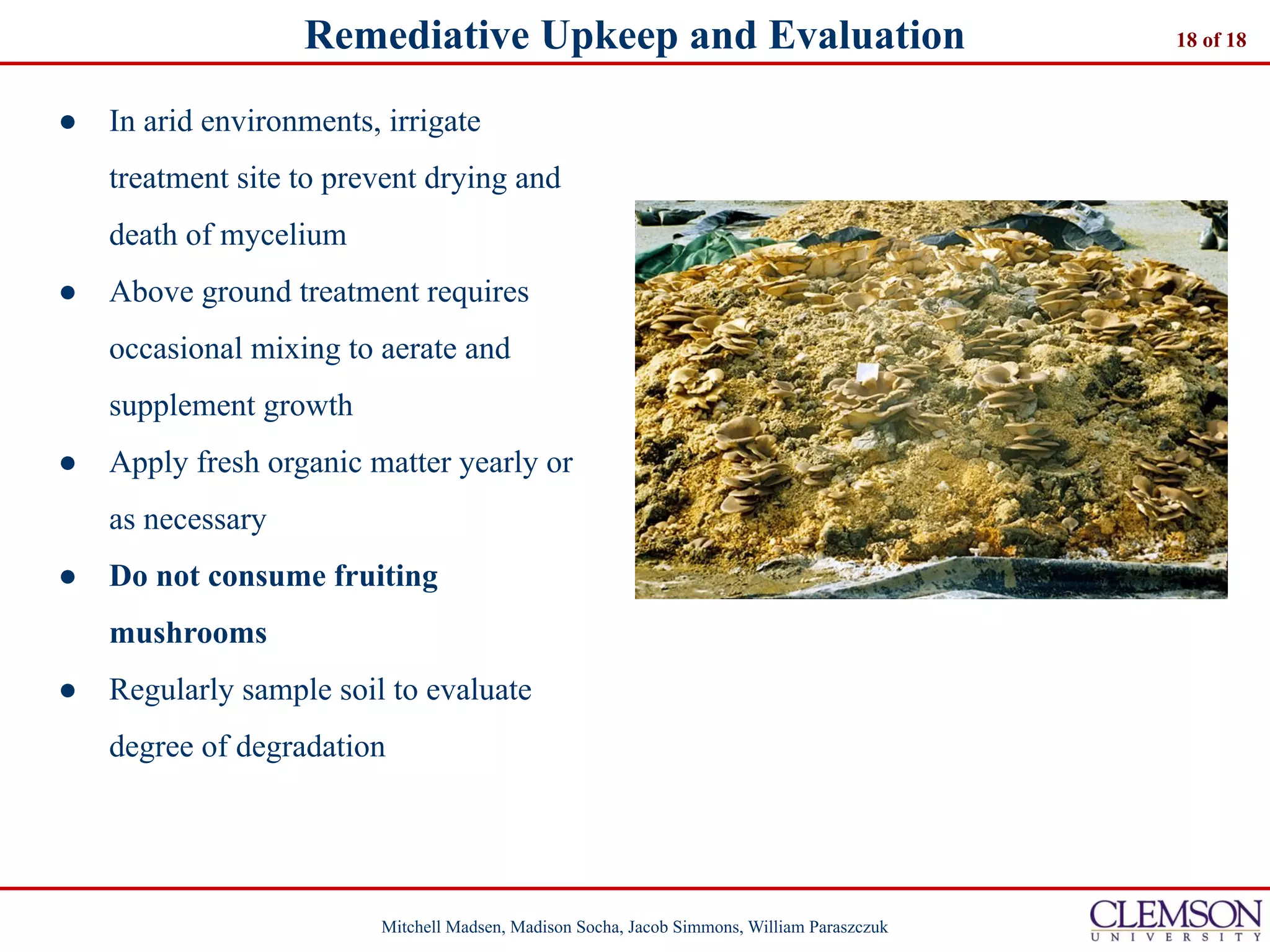 Mycoremediation | PDF