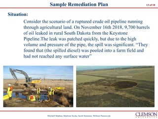 Mycoremediation | PDF