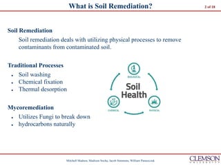 Mycoremediation | PDF