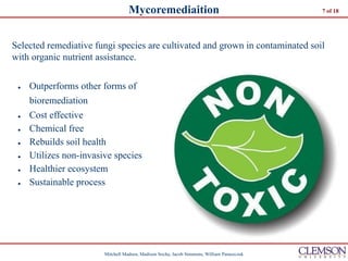 Mycoremediation | PDF