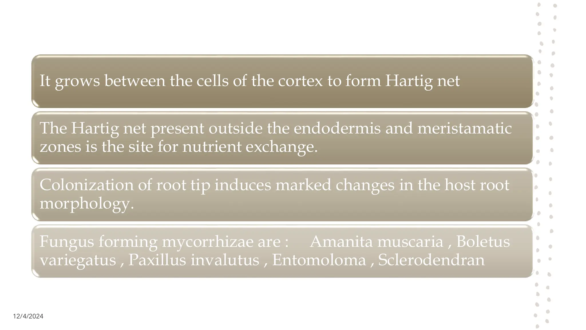 MYCORHIZZAE. Symbiotic associations between fungi and plants. | PDF