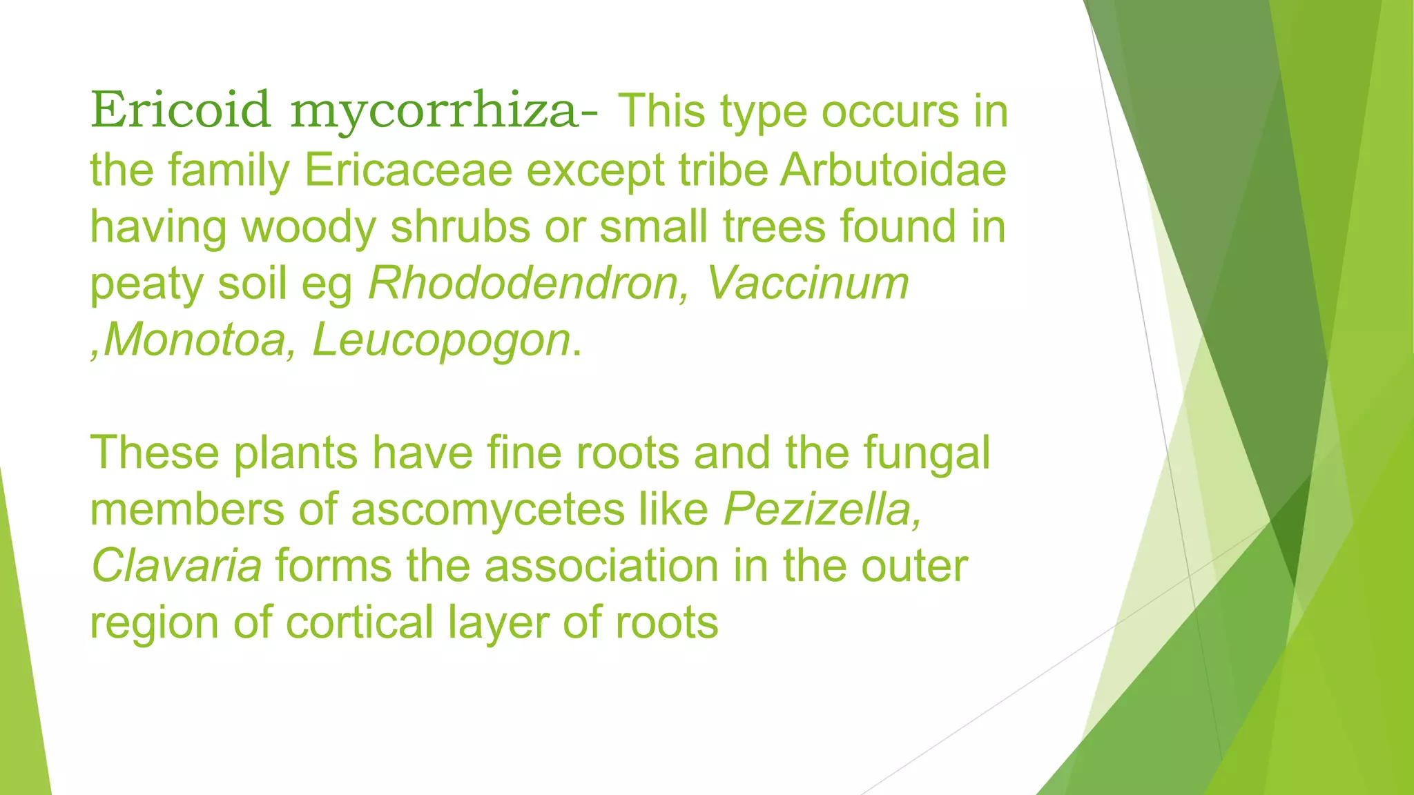 Mycorrhiza | PPTX