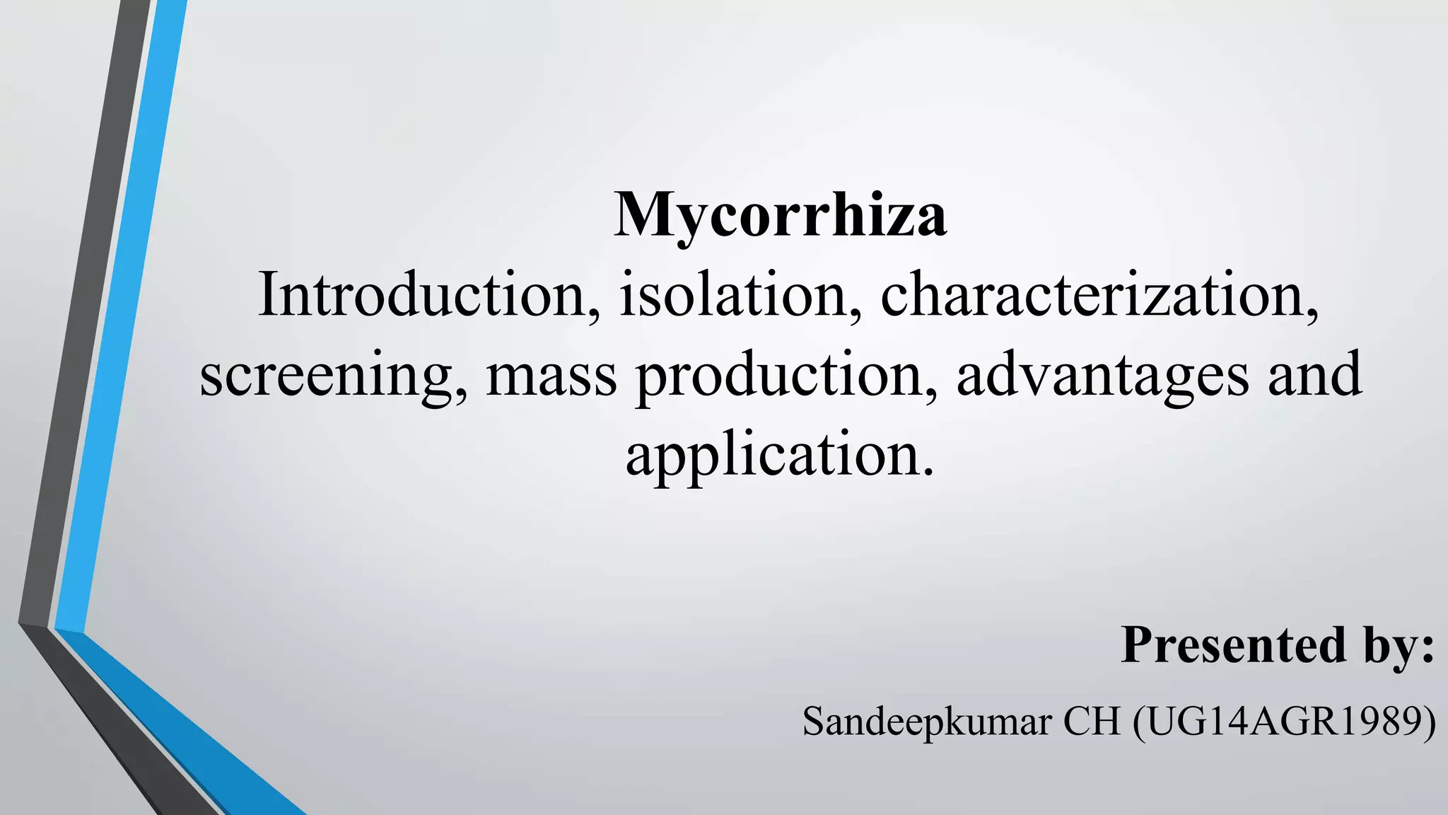 Mycorrhiza | PPTX