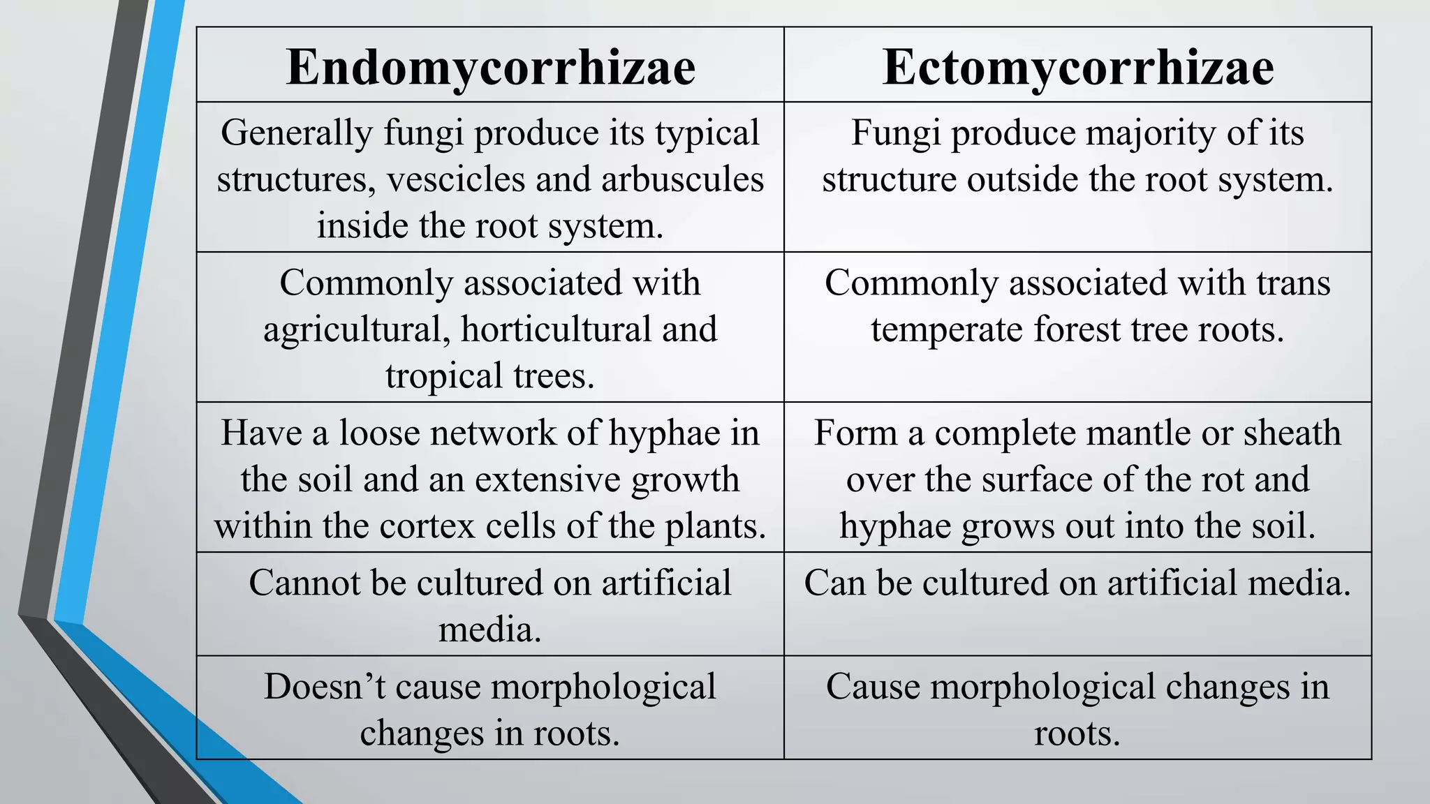 Mycorrhiza | PPTX